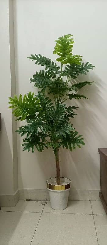 Artificial Pot - Showpieces - 1096151656