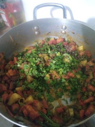 cook driver guard all rounder job need - Domestic Staff Jobs - 1096752714