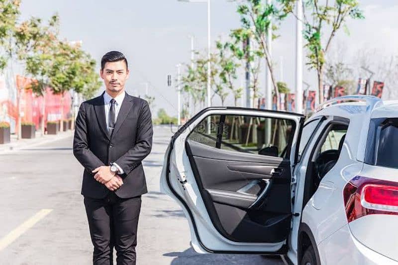 House Driver And House Helper House Guard - Other Jobs - 1096793822