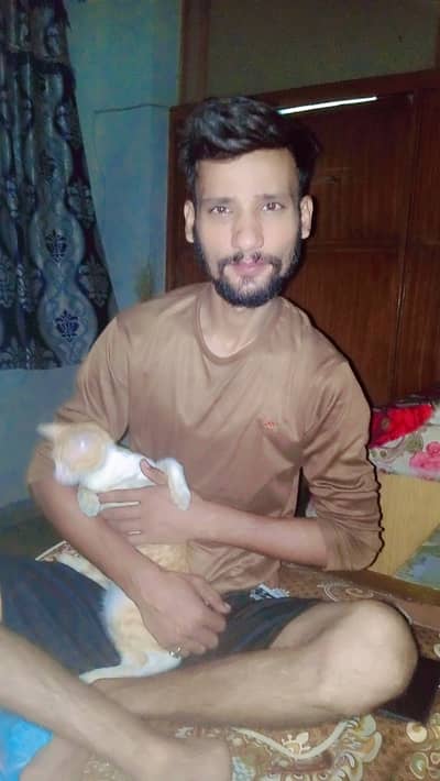 Pick and drop available - Pick & Drop - 1096854075