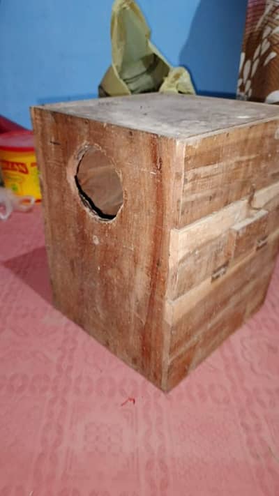 breeding Box of ringneck or Raw parrot - Birds Accessories - 1097014864