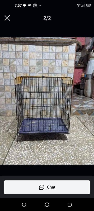 11 by 15 pinjra cage - Other Birds - 1097037838