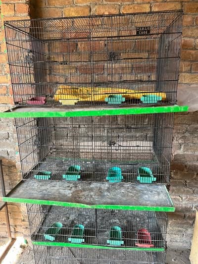 zarar cage - Hen Cages - 1097096329