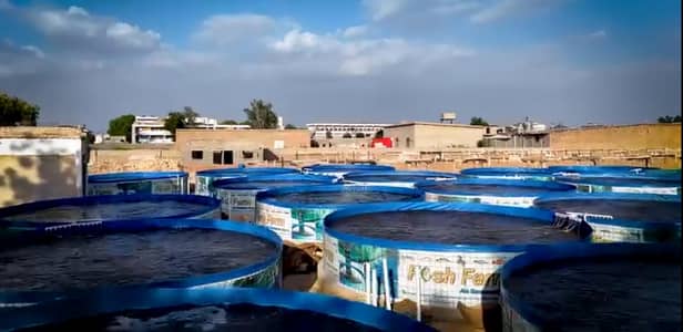 Fish Tank | Fish Farming Tank | Fish Bio flock for sale |03408549858 ...