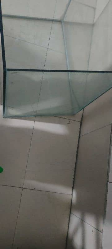 Fish aquarium mirror - Mirrors - 1097871749