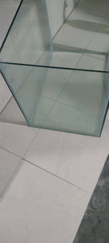 Fish aquarium mirror - Mirrors - 1097871749