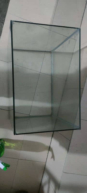 Fish aquarium mirror - Mirrors - 1097871749