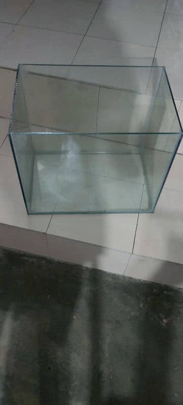 Fish aquarium mirror - Mirrors - 1097871749