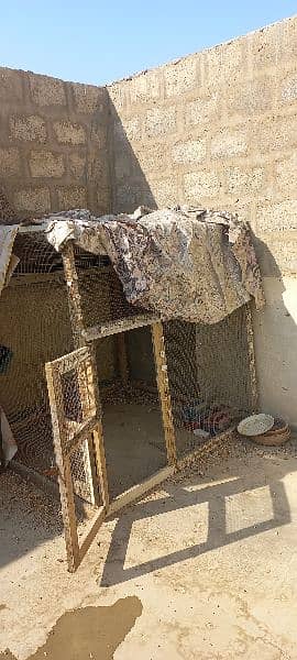 Iron cage 8 portion and wooden cage for sale - Other Business ...