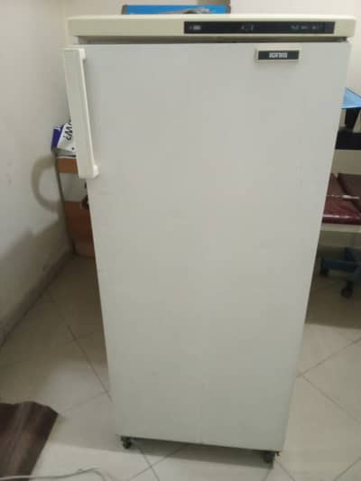 iGNIS IMPORTED FREEZER - Freezers - 1098069735