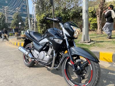 suzuki inzuma - Sports & Heavy Bikes - 1098348077