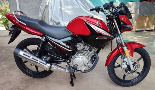 Yamaha YBR 2021 - Standard - 1098576490