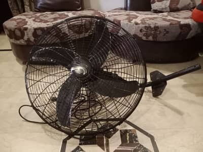 sonex - Fans - 1098610067