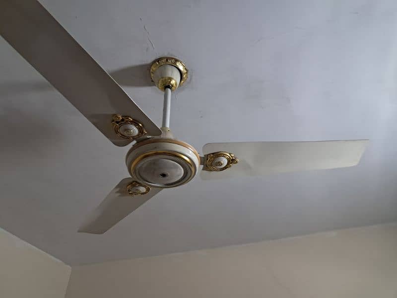 Royal Fan - Fans - 1098815189