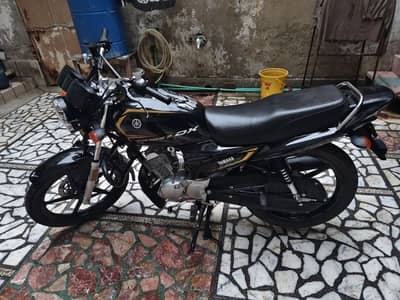 Yamaha YBZ 125 dx - Standard - 1098922063