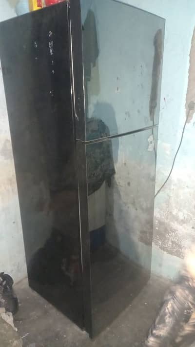 singer glass door refrigerator - Refrigerators - 1098995484