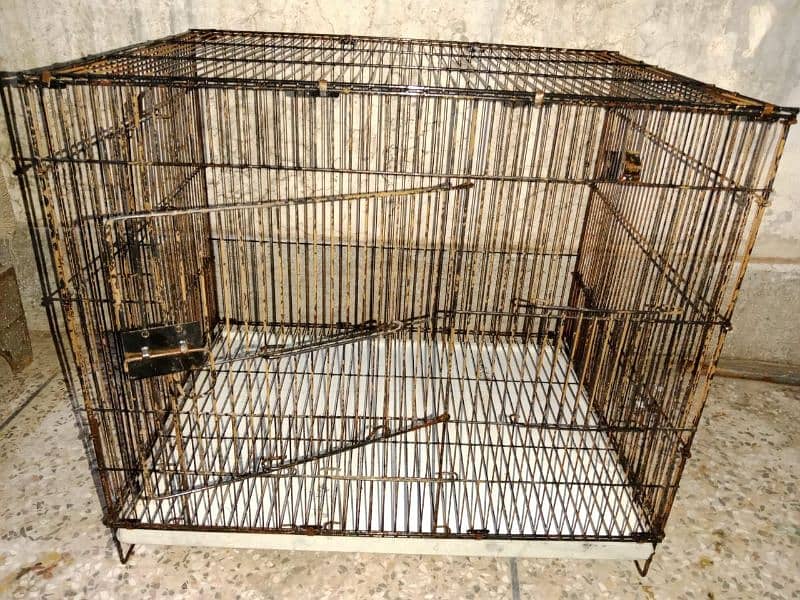 iron cage 2/1.5 - Hen Cages - 1099154339
