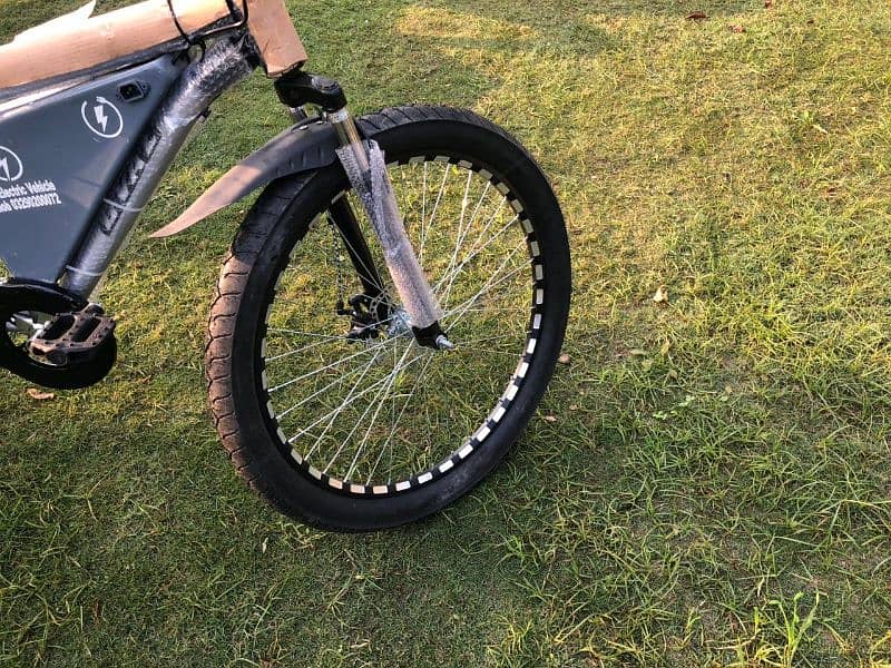 Electric tric bicycle/ebike /Mz Electric vehicle's - Electric Bicycles ...