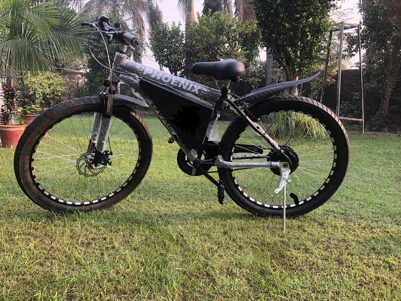 Electric tric bicycle/ebike /Mz Electric vehicle's - Electric Bicycles ...