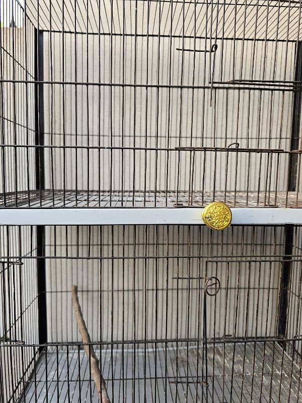 Cage love Birds or pairs - Hen Cages - 1099530464