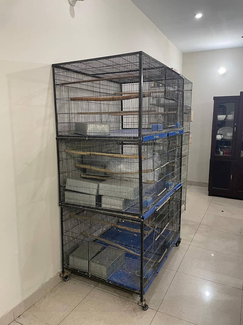 Iron cage | Bird cage | Parrot cage | Big cage | Pinjra - Birds ...