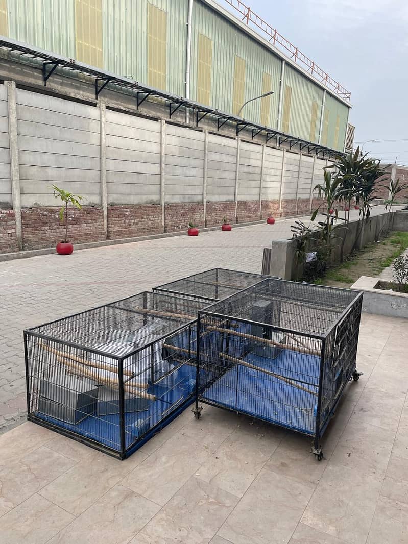 Iron cage | Bird cage | Parrot cage | Big cage | Pinjra - Birds ...