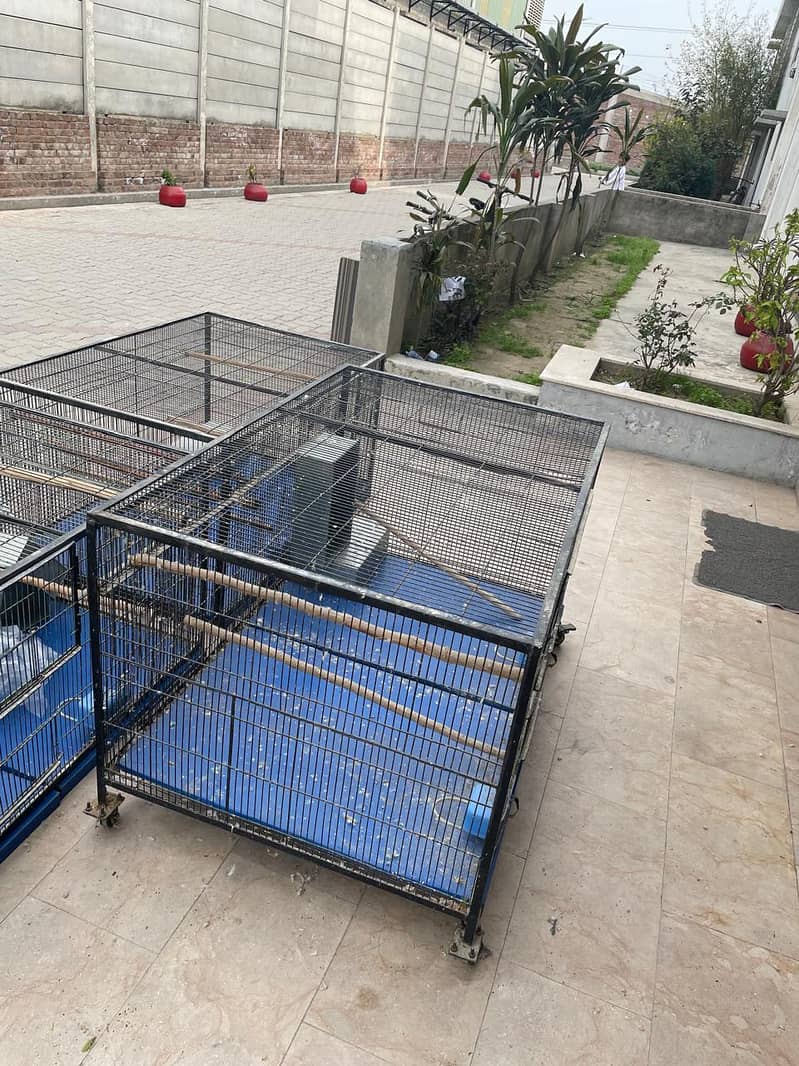 Iron cage | Bird cage | Parrot cage | Big cage | Pinjra - Birds ...