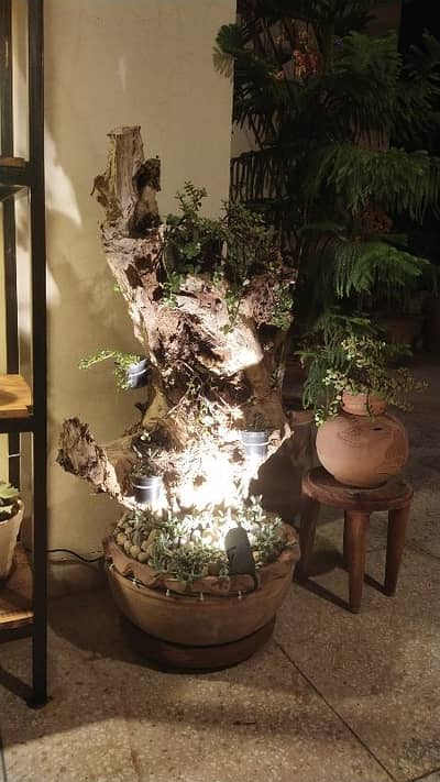 Wood log pot (bonsai edition) - Plants & Pots - 1100074929