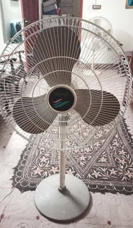 Lahore Golden Fan Pedestal 23 inch - Fans - 1084871503