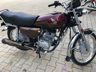 Honda CG 125 Gold Edition 2024 - Standard - 1100261779