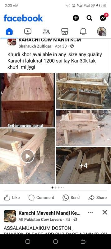 khurli khor cow Bakra Camel goats - Other Animal Food & Accessories ...