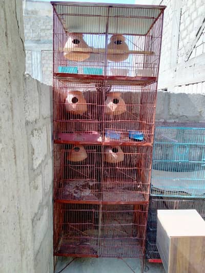 8 PORTION CAGE - Hen Cages - 1100487683
