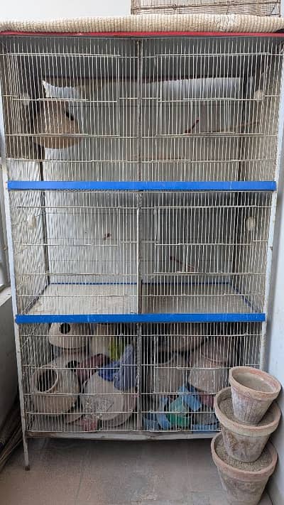 6 portion colony Cage - Other Animal Food & Accessories - 1100586360