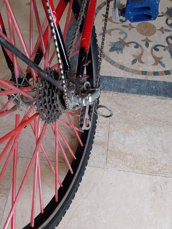 Phoenix cycle - Other Bicycles - 1100715620