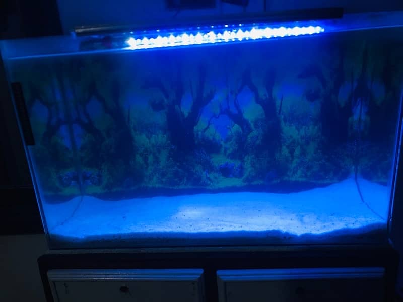 Aquarium > Read add - Aquariums - 1100956574