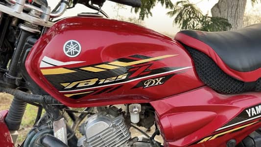 Yamaha YBZ 125 DX 2021 - Standard - 1100986348