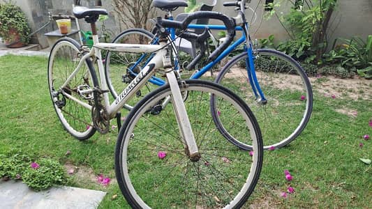 Genuine Japanese Bikes Urgent Sale - Road Bikes - 1101189618