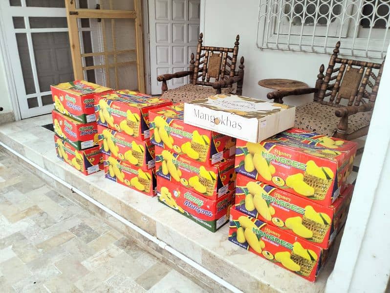 Premium Mangoes 2026 | Direct From Farm | 100% Fresh - Farm & Fresh ...