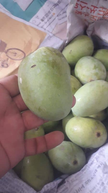 Premium Mangoes 2026 | Direct From Farm | 100% Fresh - Farm & Fresh ...