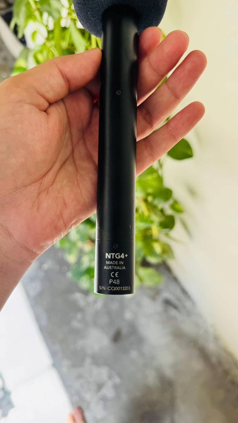 Rode NTG4+ - Professional Microphones - 1101548635