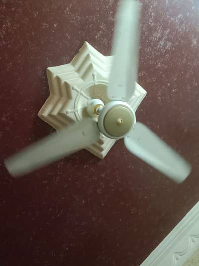 sk fan copper motor AC fan - Fans - 1101822172