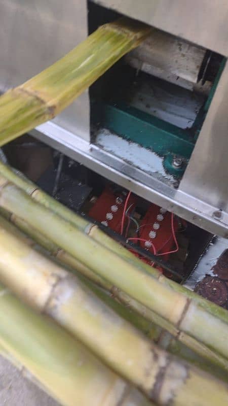 New Sugar Cane ganna machine - Fruit & Vegetable Machines - 1101953480