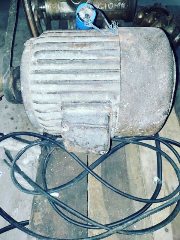 Qeema machine - Other Restaurant Equipments - 1101992094