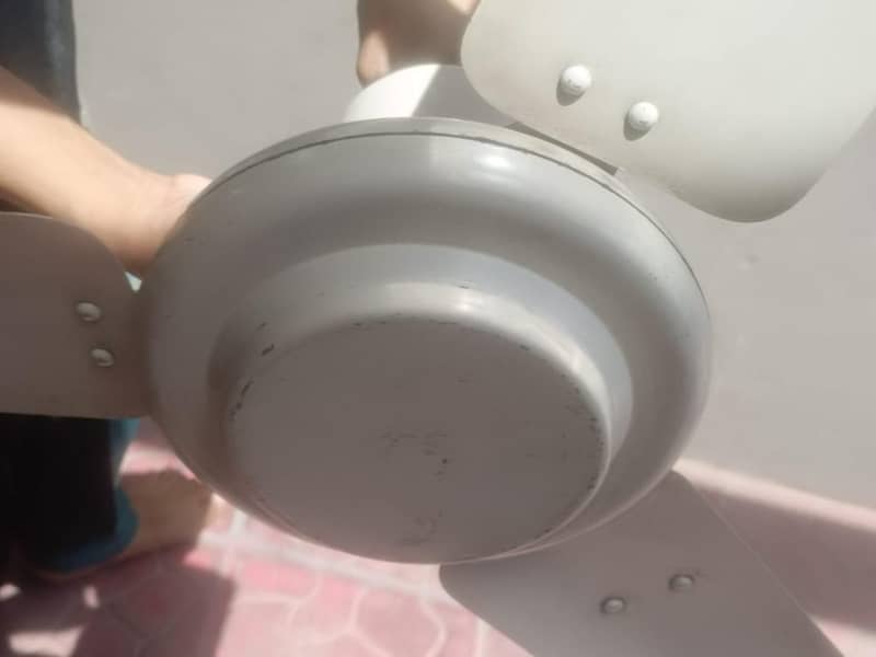 Royal fan - Ceiling Fans - 1102373126