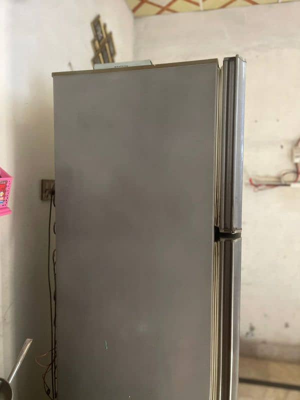 Pell Refrigerator simple . Medium size - Refrigerators - 1102420814