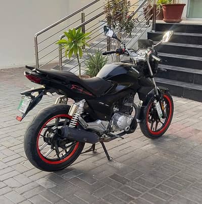 Derbi STX 150cc (Italian Bike) - Standard - 1102425039