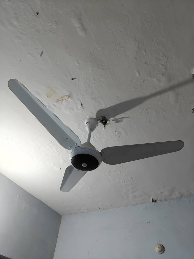 SK AC DC Fan - Ceiling Fans - 1102427436