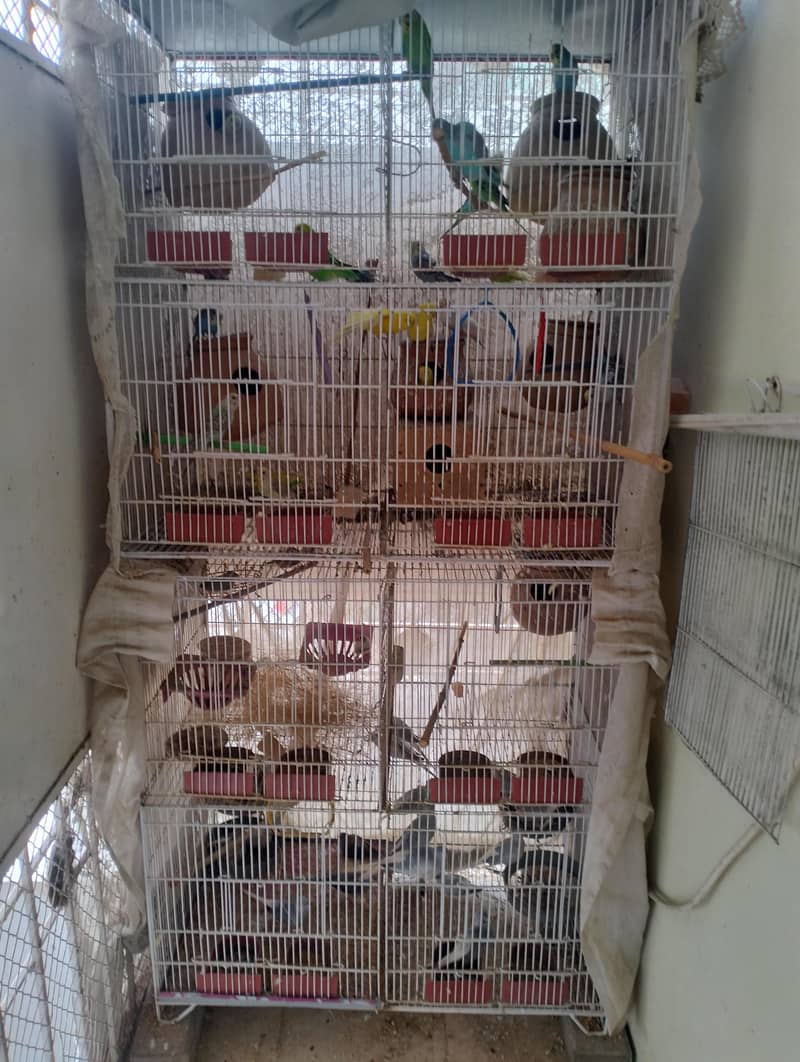 BIRD CAGE SETUP FOR SALE – COMPLETE PABirdCKAGE - Finches - 1102631596