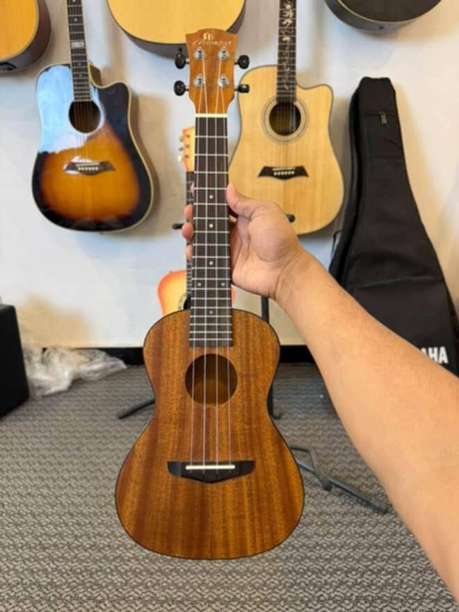 Ukulele Concert size 24 inch Mahogany wood - Musical Instruments ...