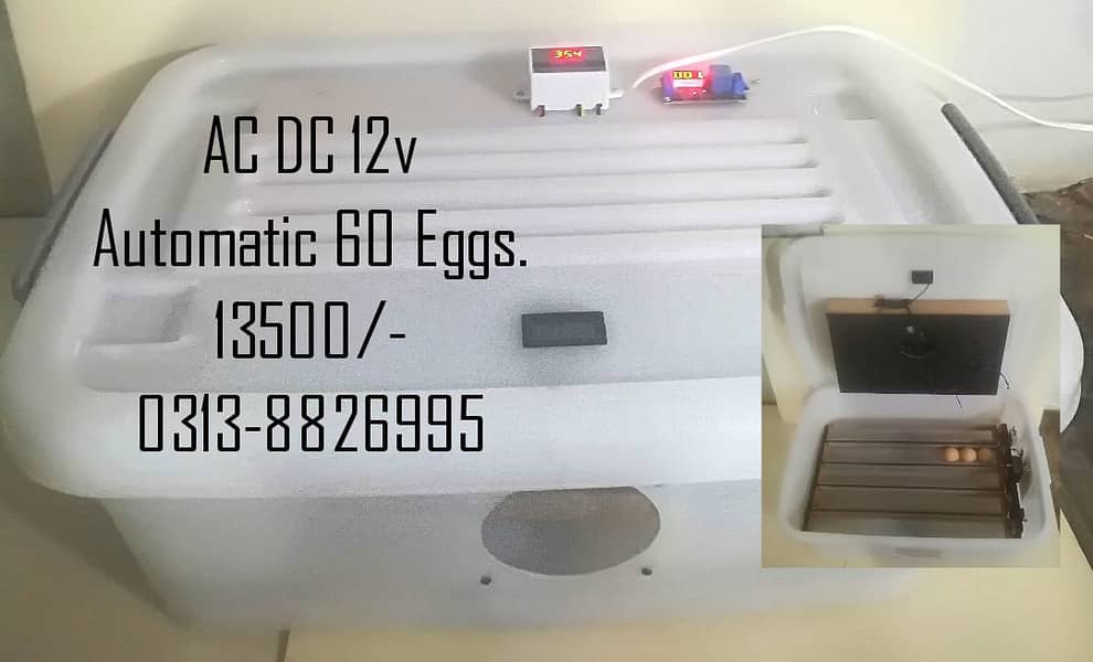 Incubator / Solar Incubator Ac / DC 12v / Egg Hatching Machine ...